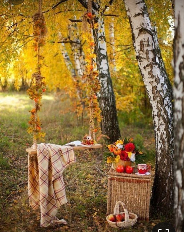 Screenshot 20231126 220632 Pinterest — Postimages