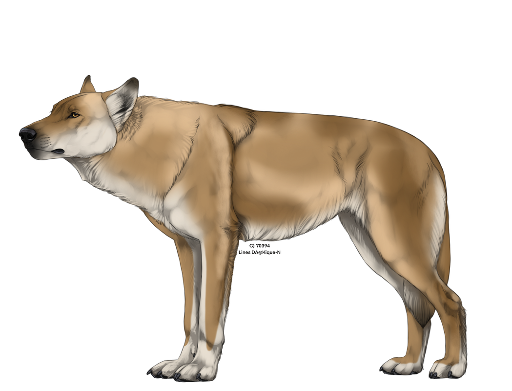 Custom Eurasian Wolf 1 — Postimages
