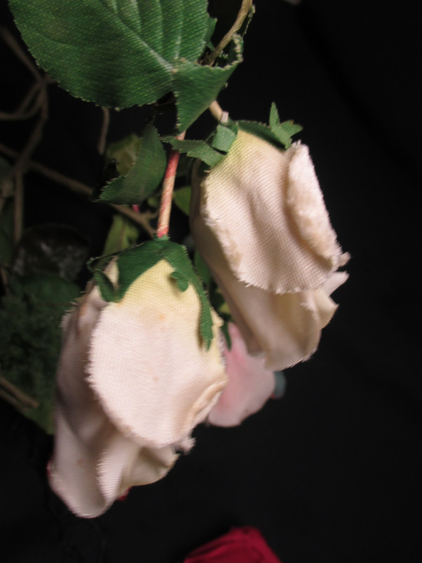 IMG 0754 — Postimages