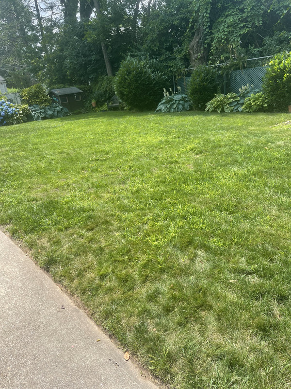 IMG 0844 — Postimages