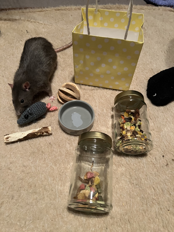 F1503 F3 B D133 4487 96 EE FE7 BC2 E24 B87 — Postimages