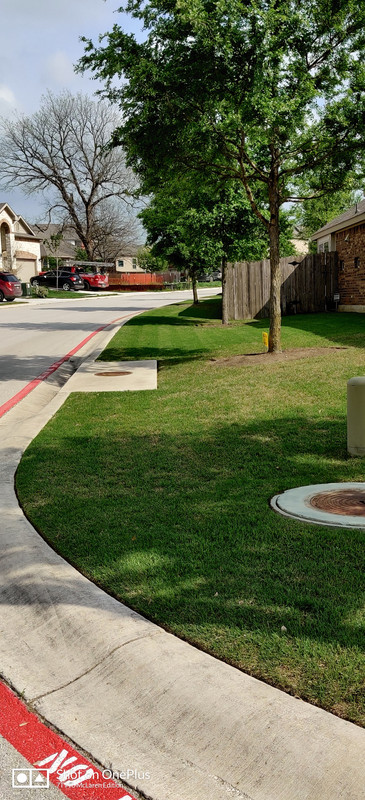 Edging, barriers around tree | Lawn Care Forum