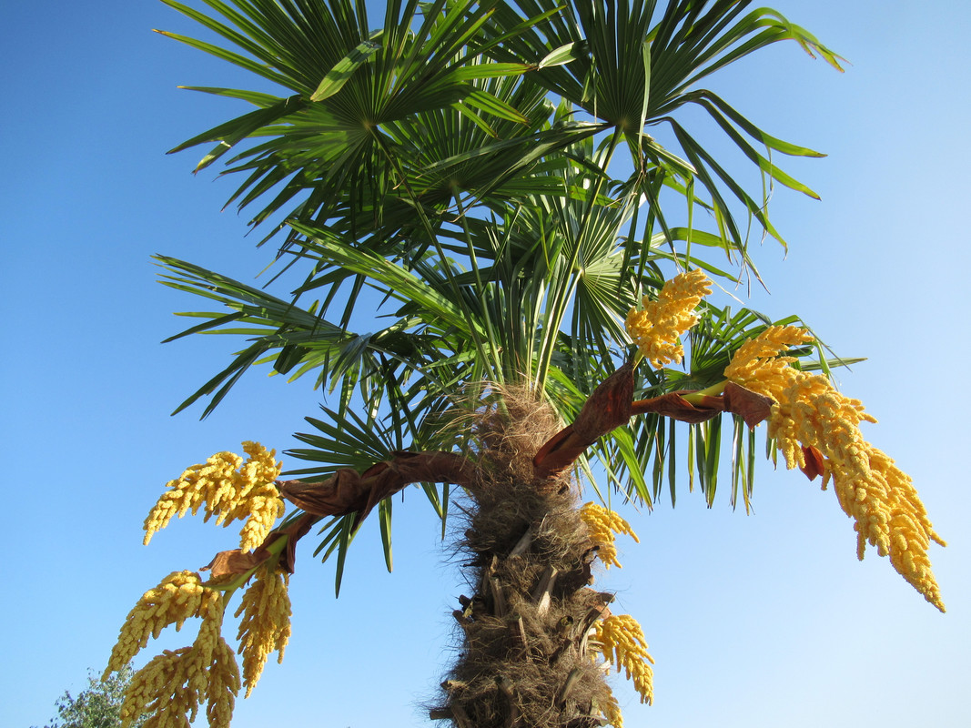 IMG 6620 — Postimages