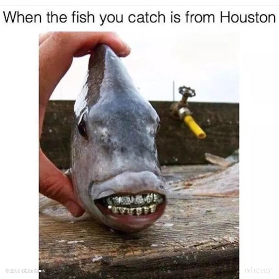 fish gold teeth — Postimages