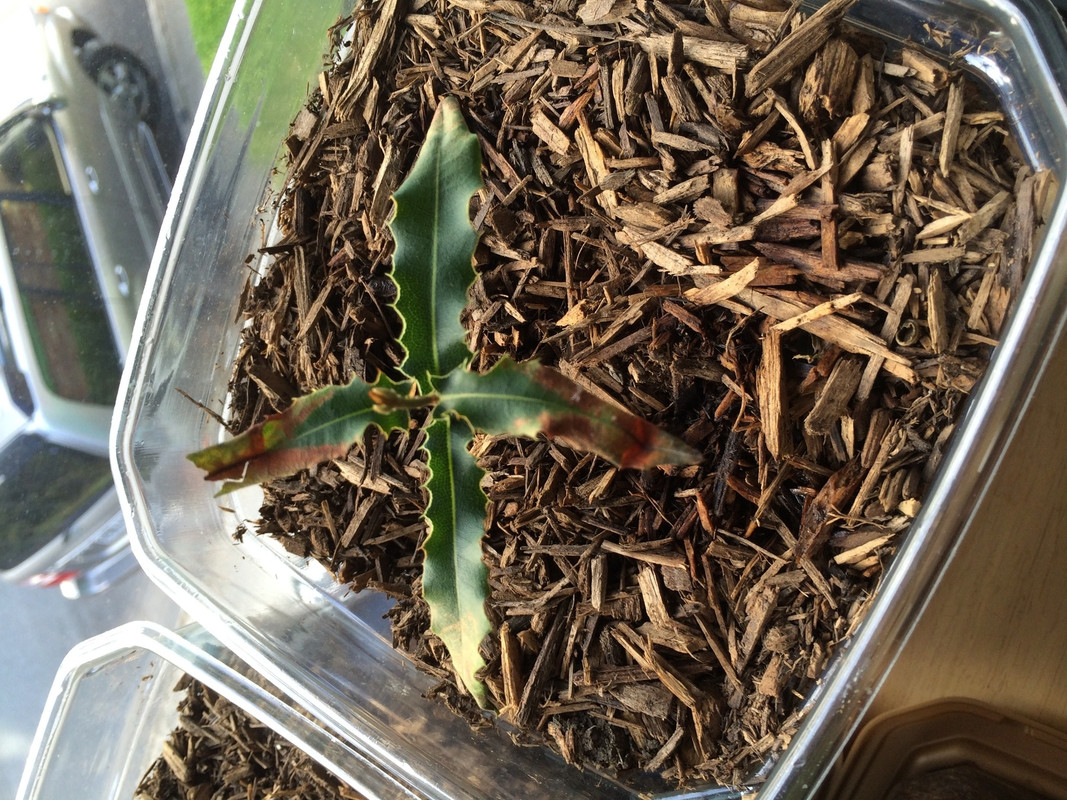 IMG 5406 — Postimages