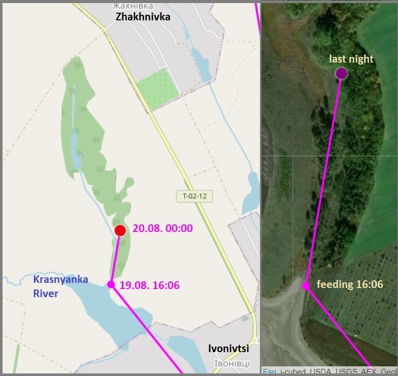 Black Stork Tracks - Page 469 - Looduskalender