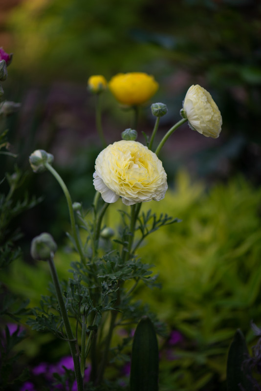 IMG 2b73cb03fd3e14f5658fe04f1d5dfbef V — Postimages