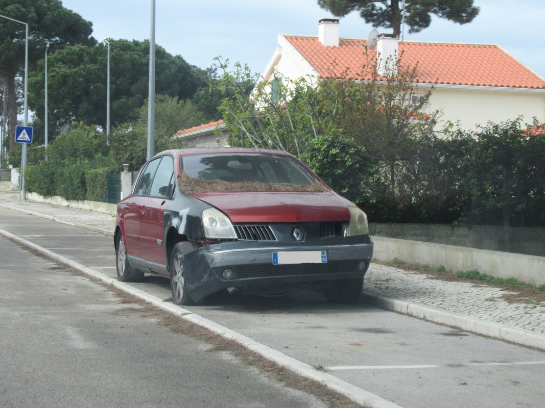 IMG 3964 — Postimages