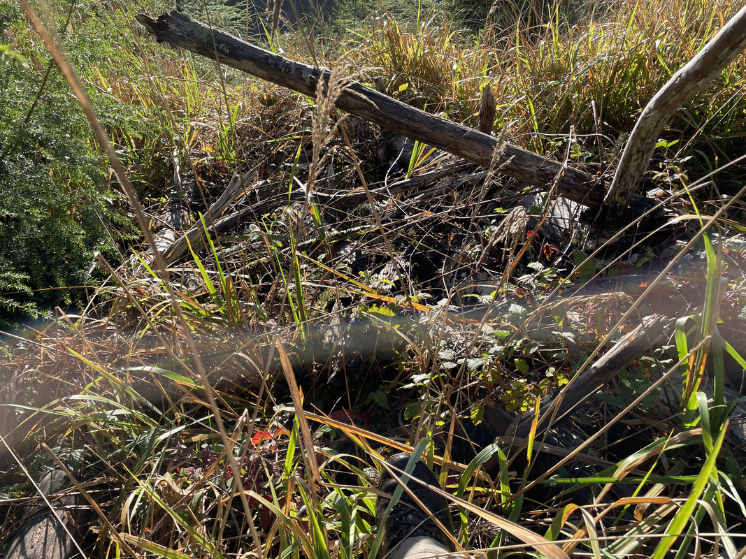 7 B26 FB5 D BF52 402 C A04 D E0 E9 E49 ABA39 — Postimages