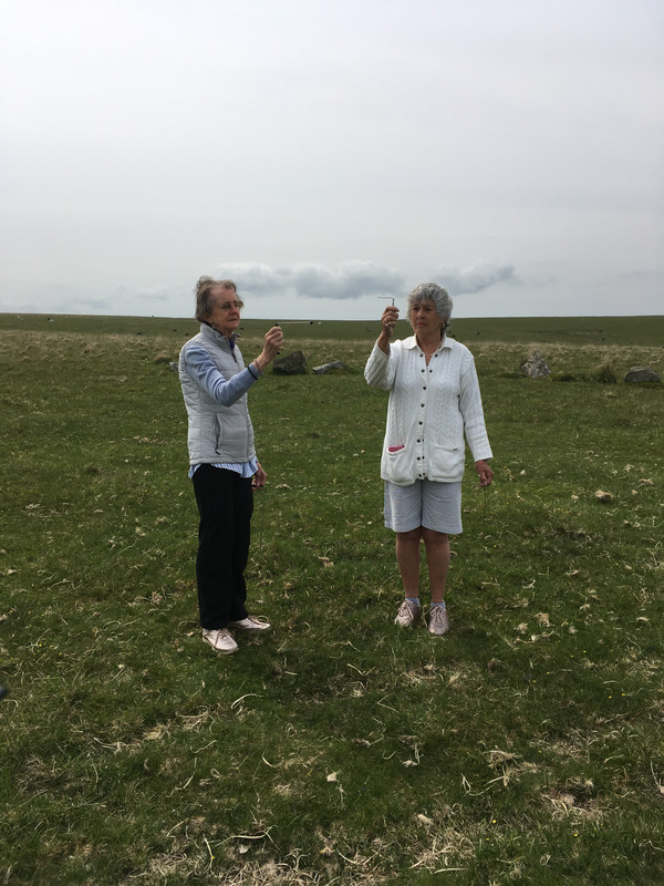 IMG 4868 — Postimages