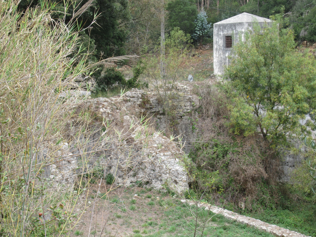 IMG 7988 — Postimages