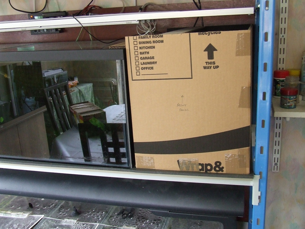 End On Shelf — Postimages