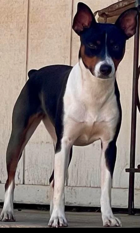 Screenshot 20240525 195631 Gallery — Postimages