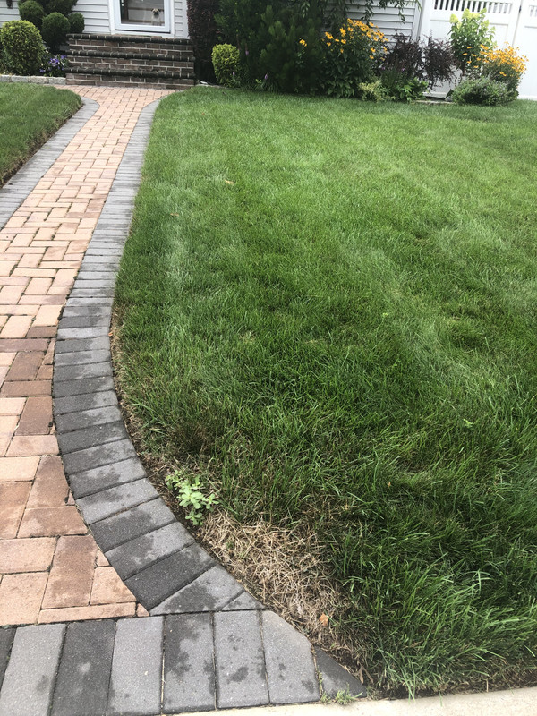 IMG 5684 — Postimages