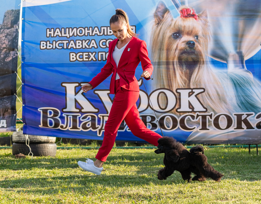 2215 Postimages 2215-postimages