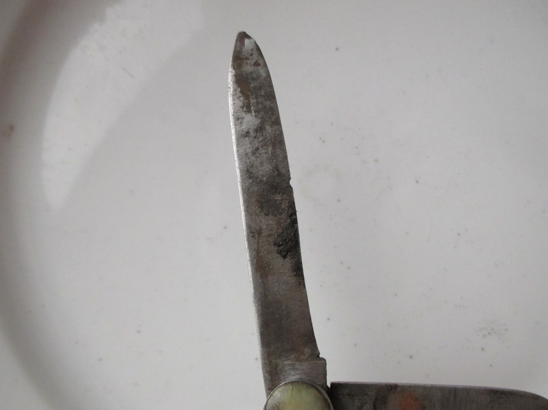 IMG 0593 — Postimages