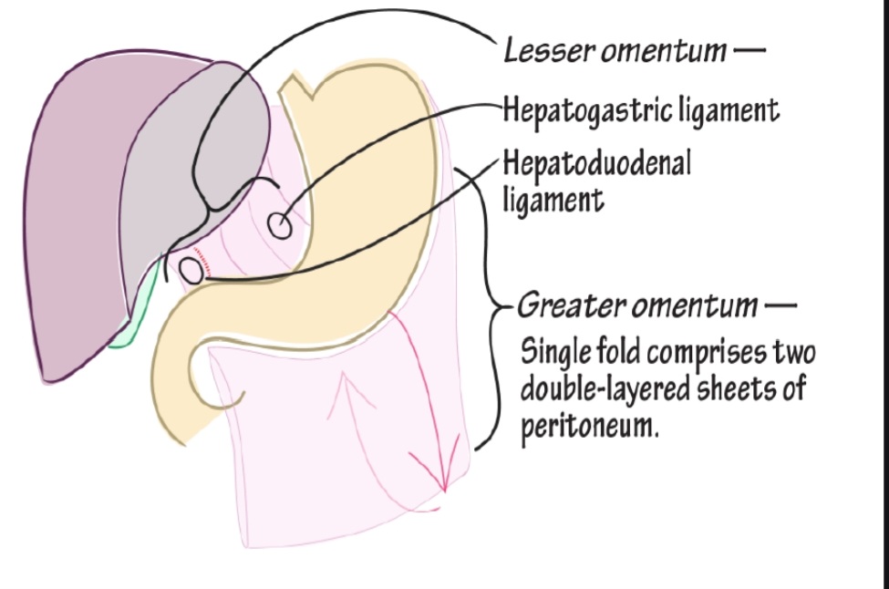 Screenshot ٢٠٢٤١١٠٥ ٢٣٢٢٠٤ Drive — Postimages