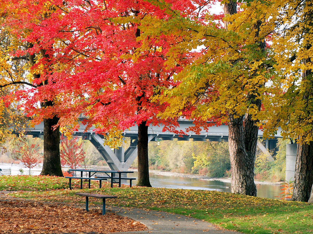 Facility: Riverside Park