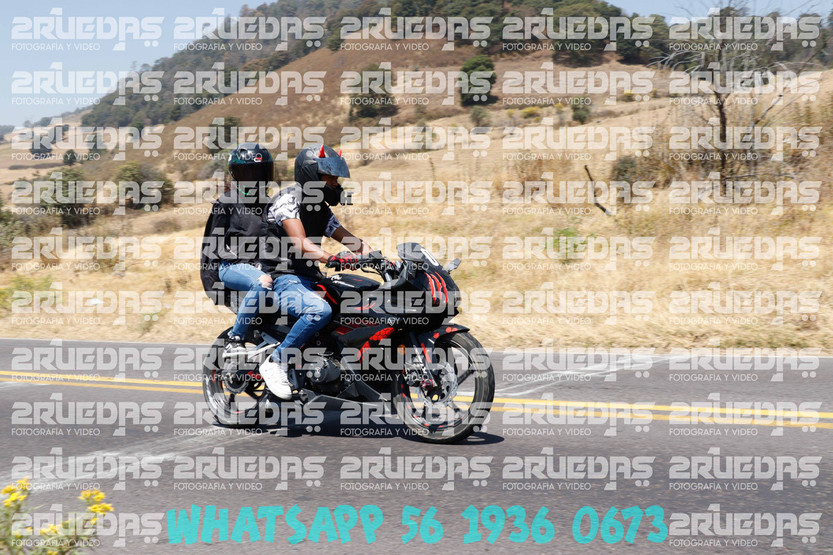 MG 1011 — Postimages