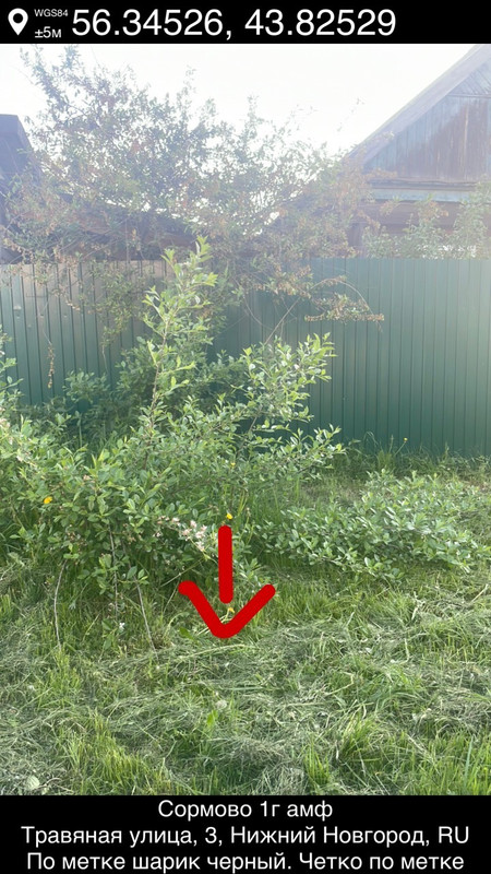 IMG 0890 — Postimages