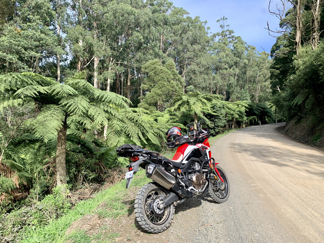 IMG 1568 — Postimages