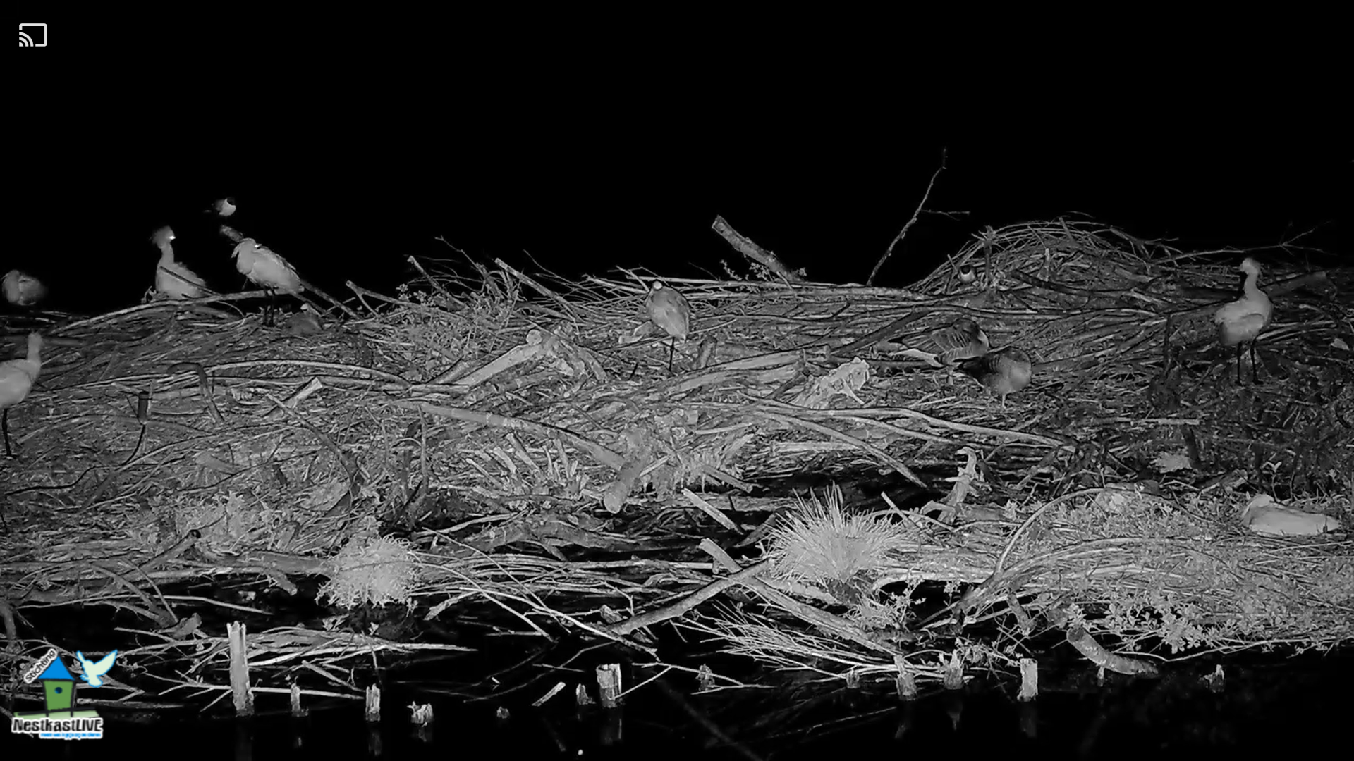 2023 04 30 — Postimages