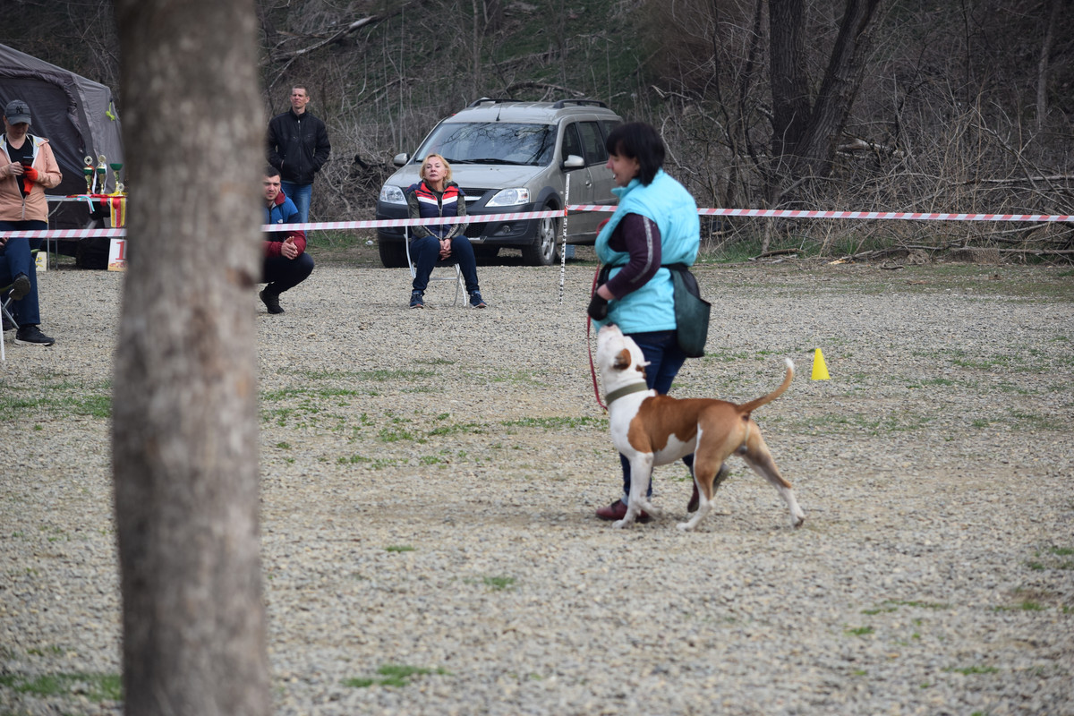 DSC 0002 — Postimages