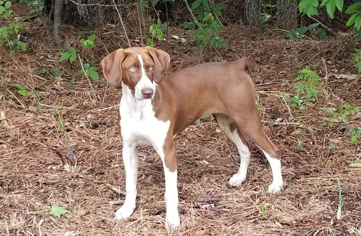 E0602627 F8 B0 4891 A212 0 B6 CB900 DE62 — Postimages