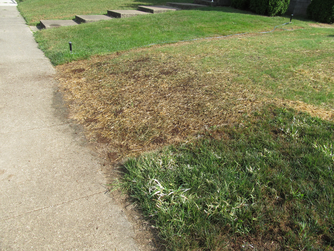 IMG 1935 — Postimages