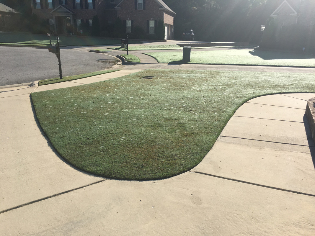 front yard 5 — Postimages