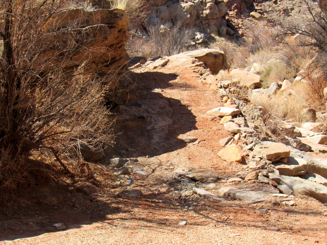 IMG 1849 — Postimages