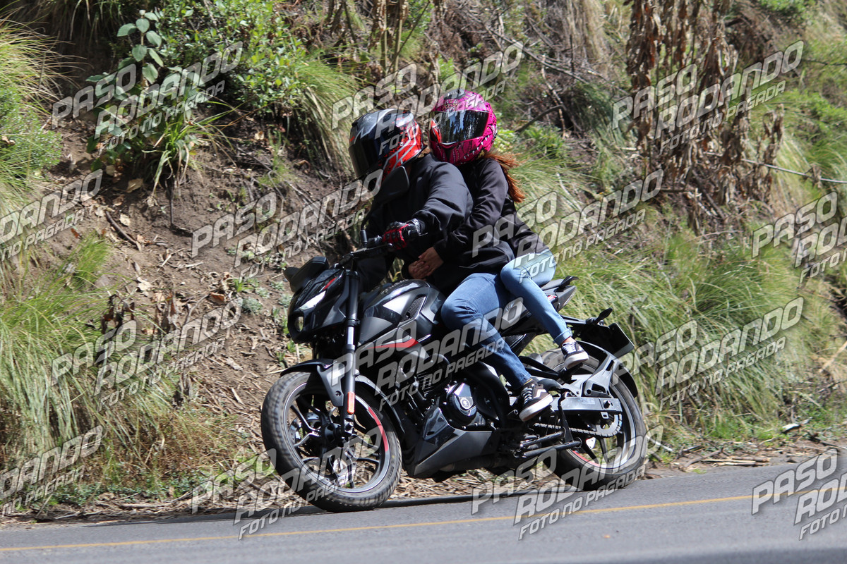 IMG 1990 wm 4958290 watermarked — Postimages