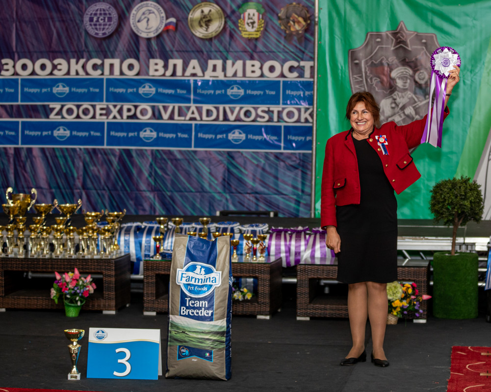 02 1384 — Postimages