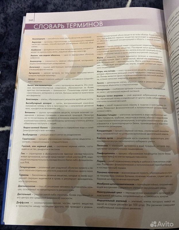 C3767416 639 D 450 C A296 598 EE25 D5 B5 F — Postimages