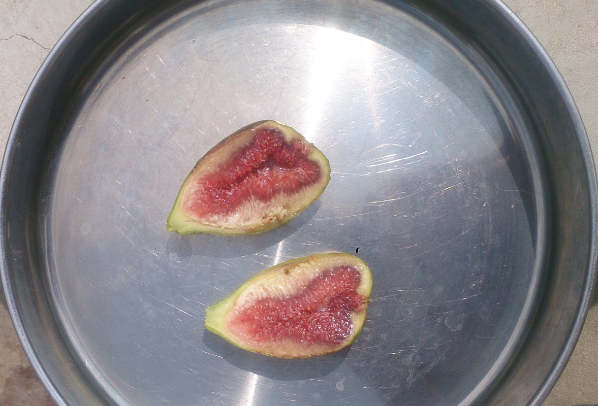 DSC 0168 — Postimages