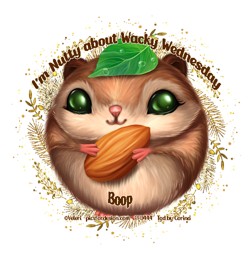 nutty wacky wed squirrel leaf — Postimages