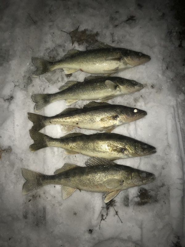 56167 A3 C 73 F3 41 F3 A801 CFFA84358527 — Postimages