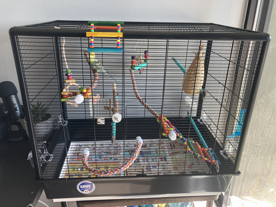 IMG 6344 — Postimages