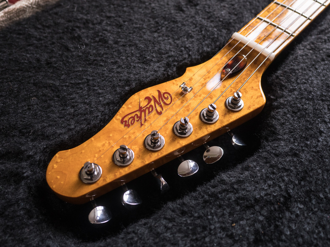 Sold: Scott Walker Jimson - Guitars £ Discussions on theFretBoard
