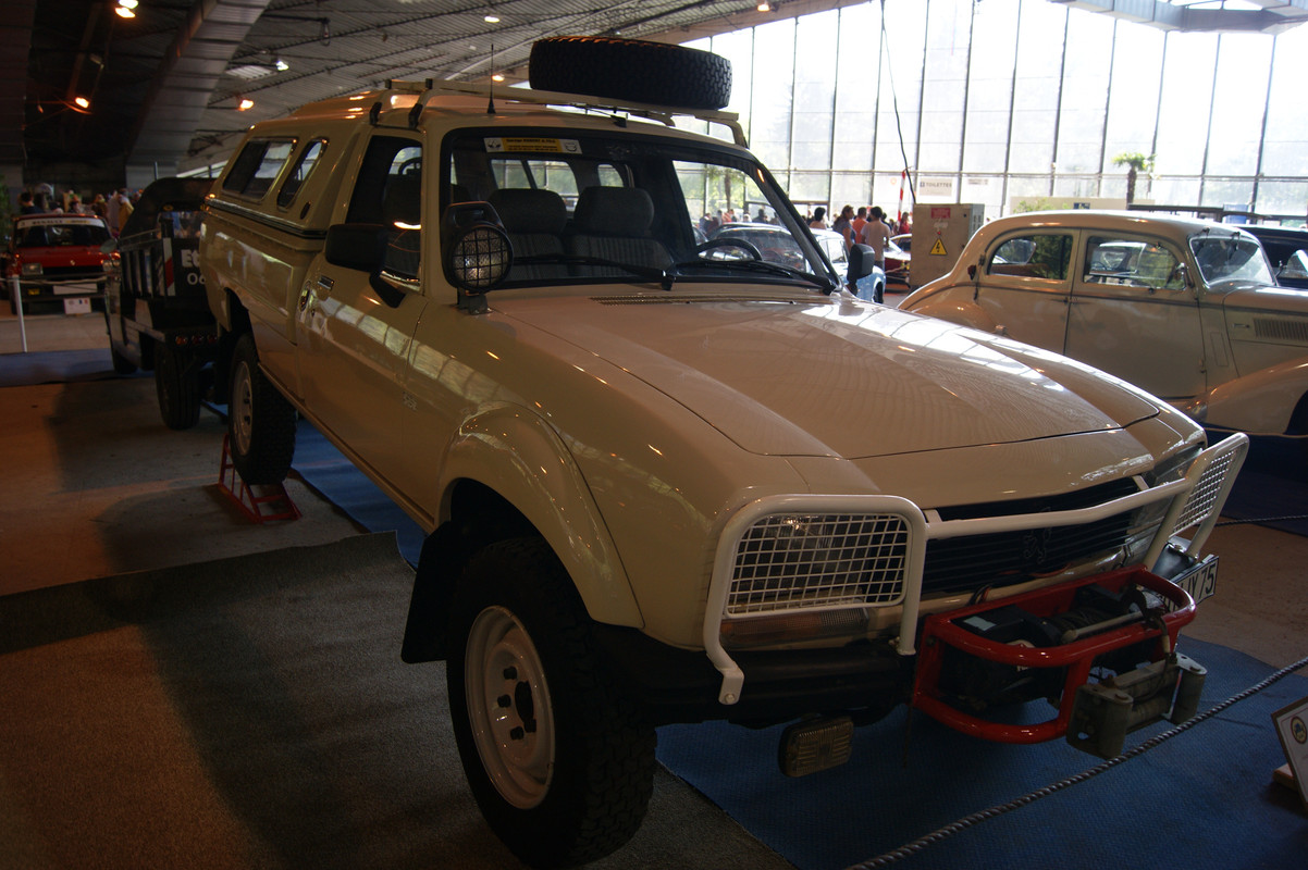 504 PICK UP DANGEL 1984 N°5 — Postimages