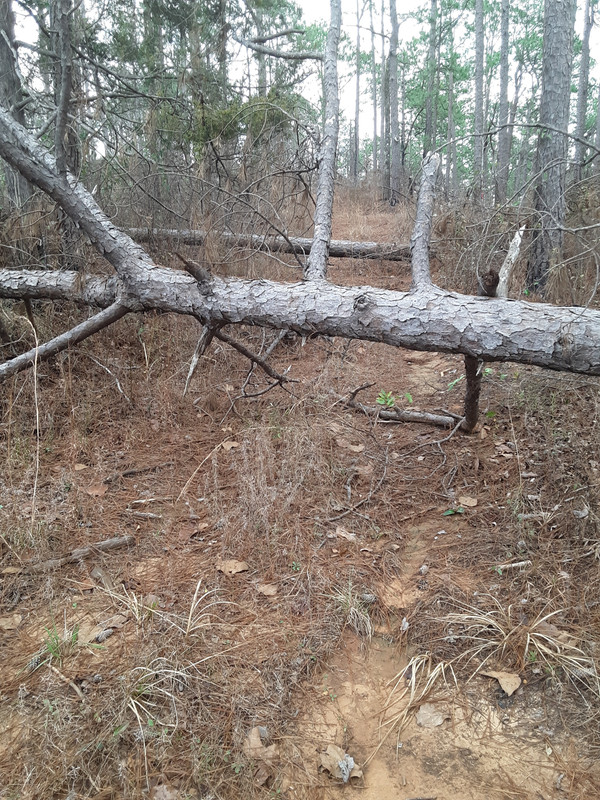 20220105 103055 — Postimages