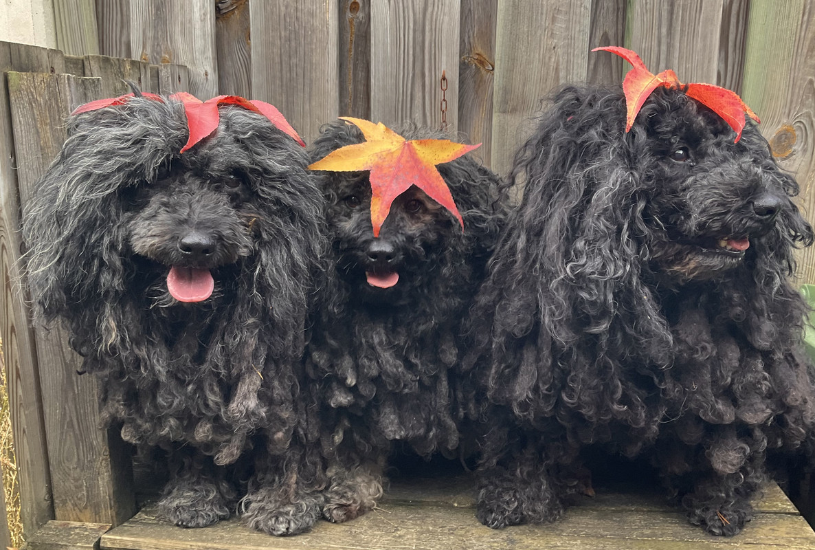 B84 CB246 3 FC9 4 BFA 92 C1 F1 D417 C79991 — Postimages