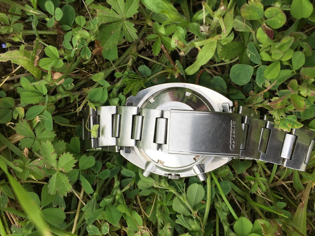 IMG 8121 — Postimages