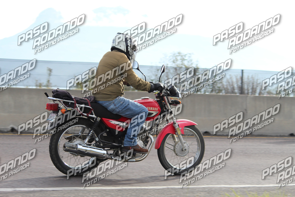 IMG 1095 wm 7657819 899999999 watermarked — Postimages