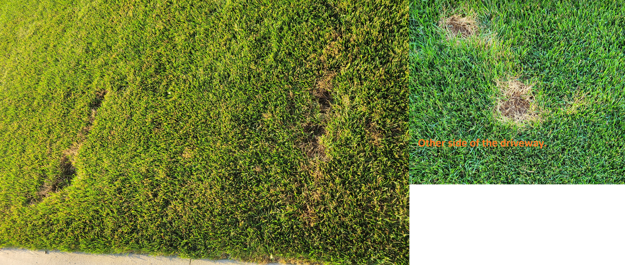 Deadgrass — Postimages
