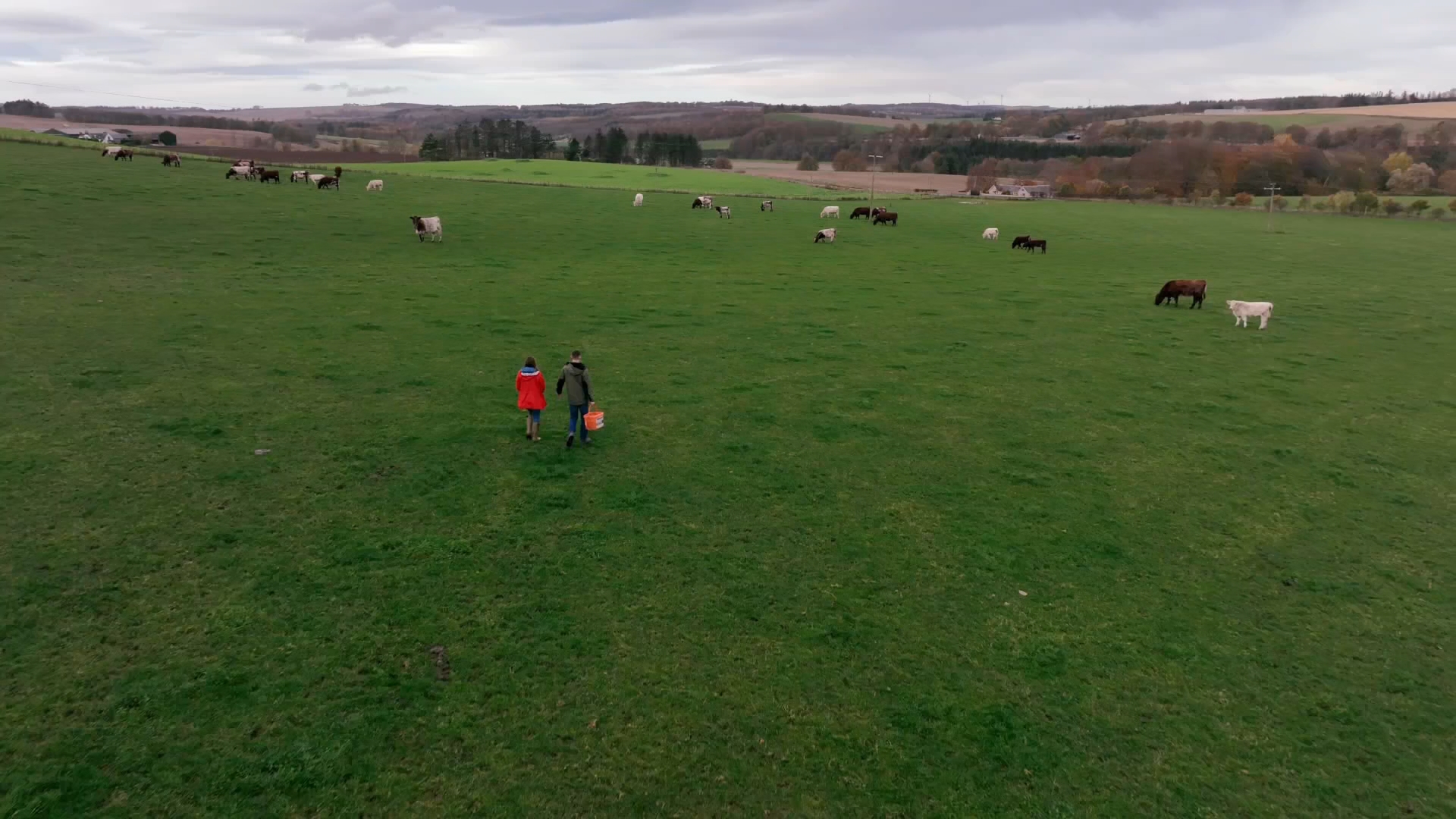 Landward 20221204 08150845 ts snapshot 09 34 266 — Postimages