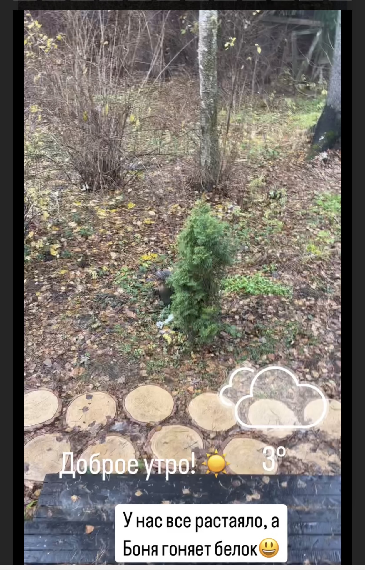 IMG 0399 — Postimages