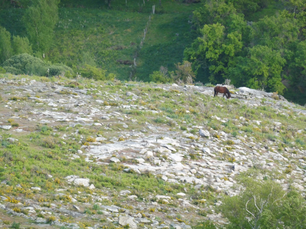 2018 05 12 Fd S FF (296) JPG — Postimages