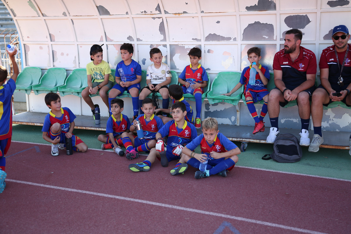 VIC 5411 — Postimages