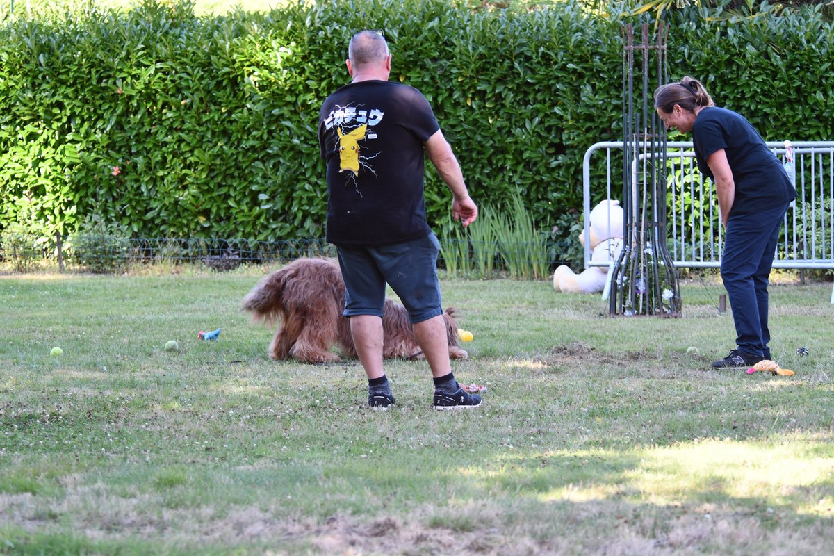 DSC 4690 — Postimages